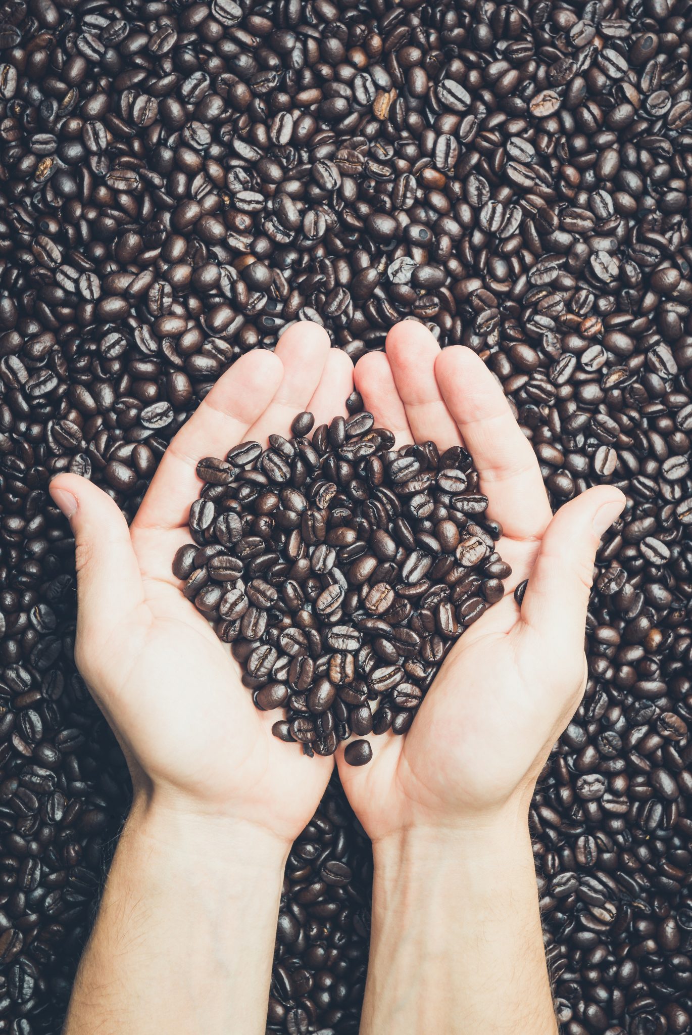 Recipes Through Time - Sumatran & Javanese Coffee - Weston Museum