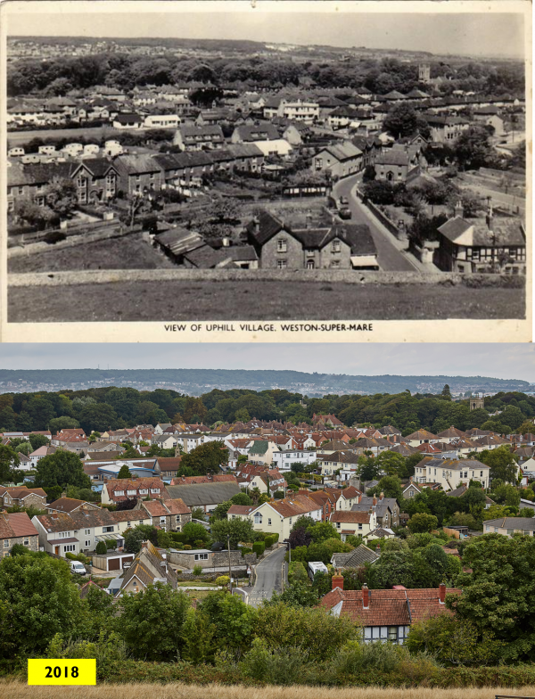 Weston Museum - Experience Weston-super-Mare's History