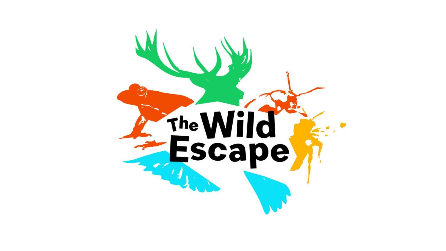 Wild Escape Session for home educating families - Weston Museum