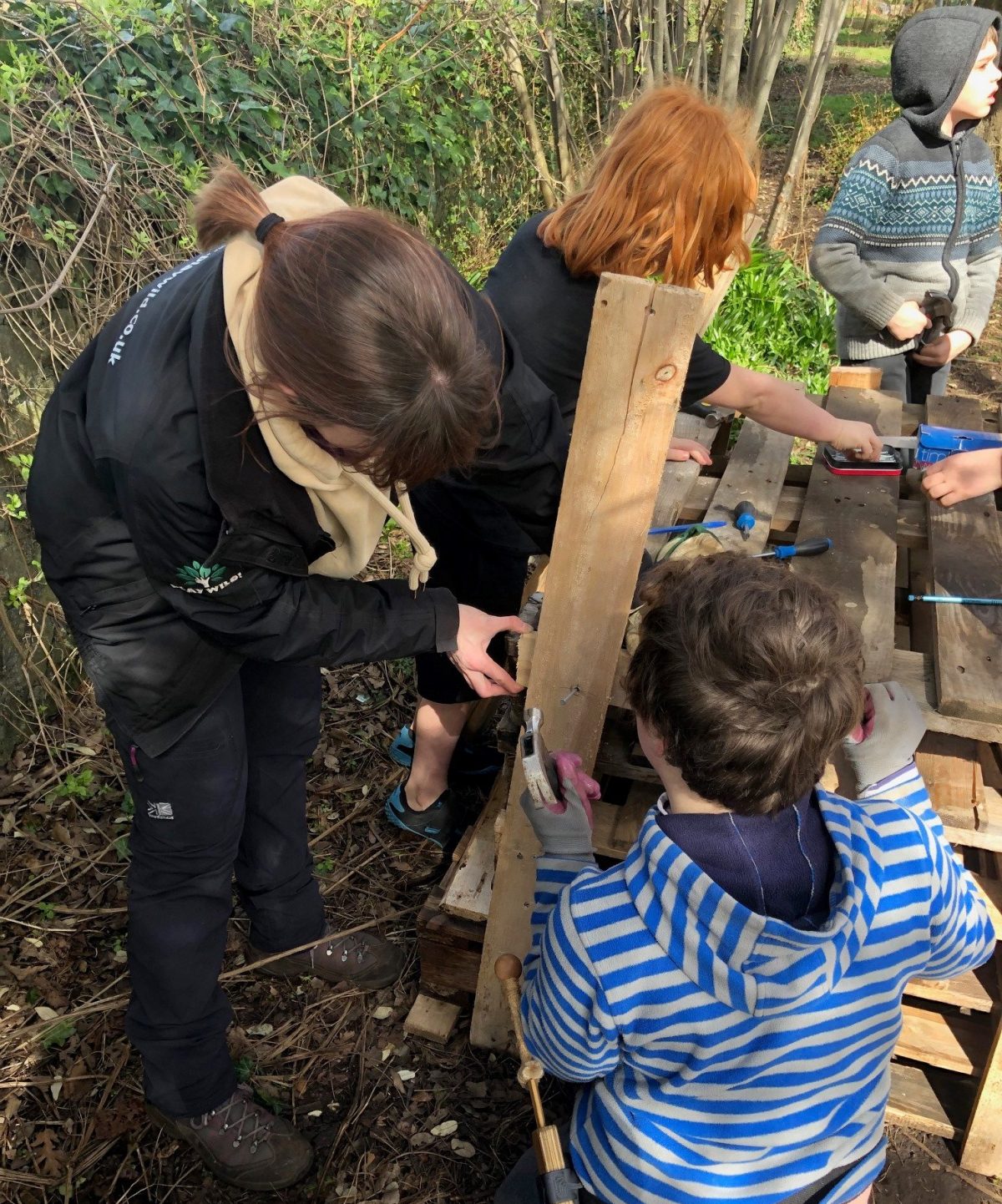 Nature Learning Resources from the Wild Escape Project - Weston Museum