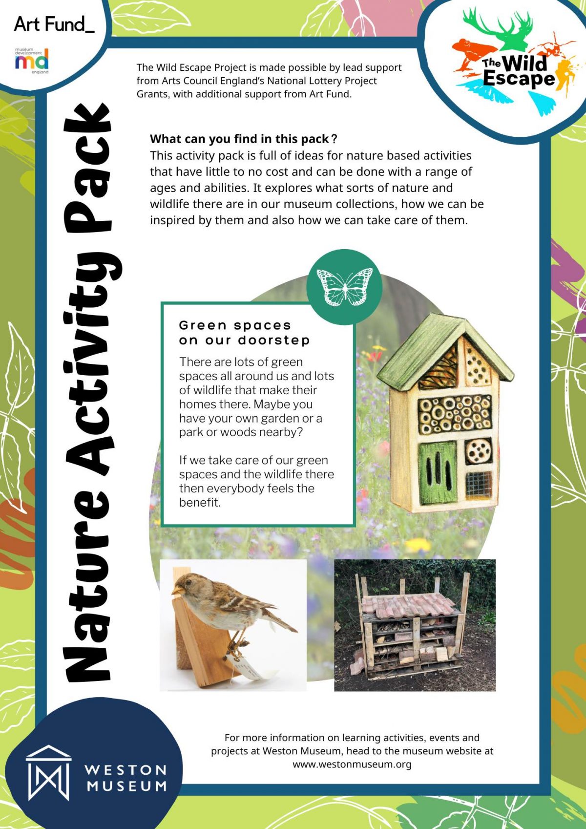 Nature Learning Resources from the Wild Escape Project - Weston Museum